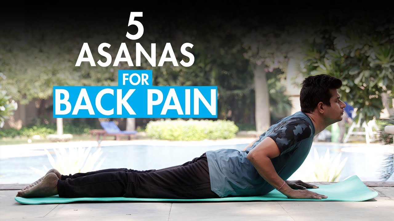 Yoga Stretches For Back Pain Relief | Fit Tak - DiamondsRain