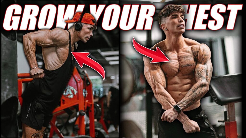 HOW I GROW MY CHEST – MENS`S PHYSQUE CHEST WORKOUT !!! – DiamondsRain