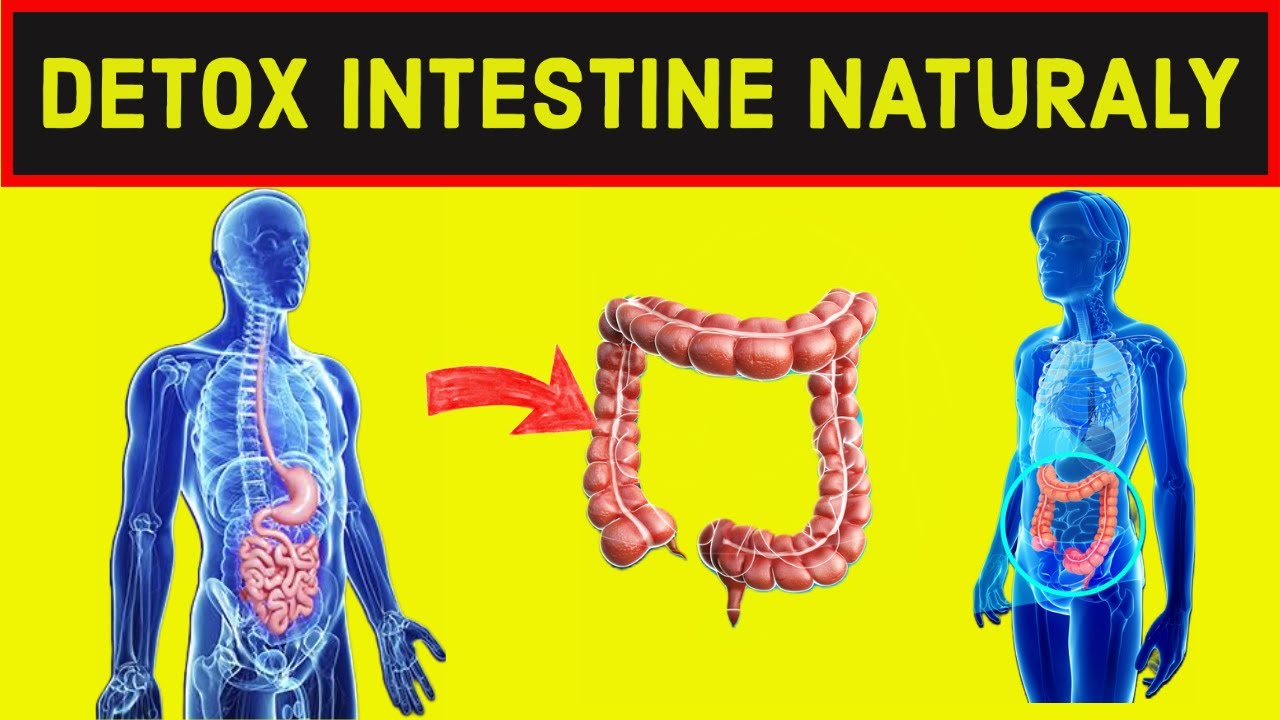 "10 Effective Ways to Cleanse and Detox Your Gut Naturally: A Guide to ...