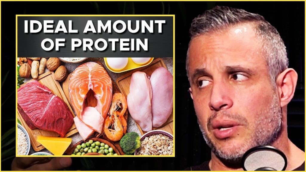 Foundational NUTRITION And EXERCISE Guidelines For The Average Person ...