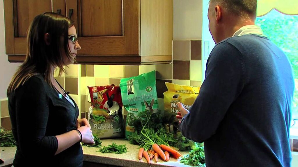 Essential Rabbit Guide Part 2: Nutrition – Feeding Rabbits – DiamondsRain