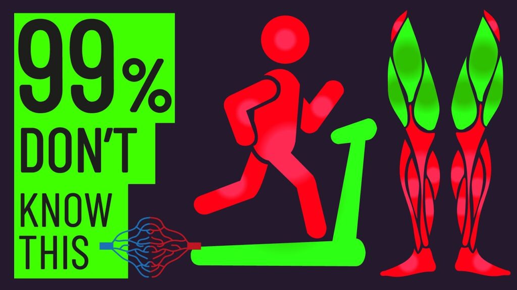 Cardio Can INCREASE Your Muscle Growth (Here's How) – DiamondsRain